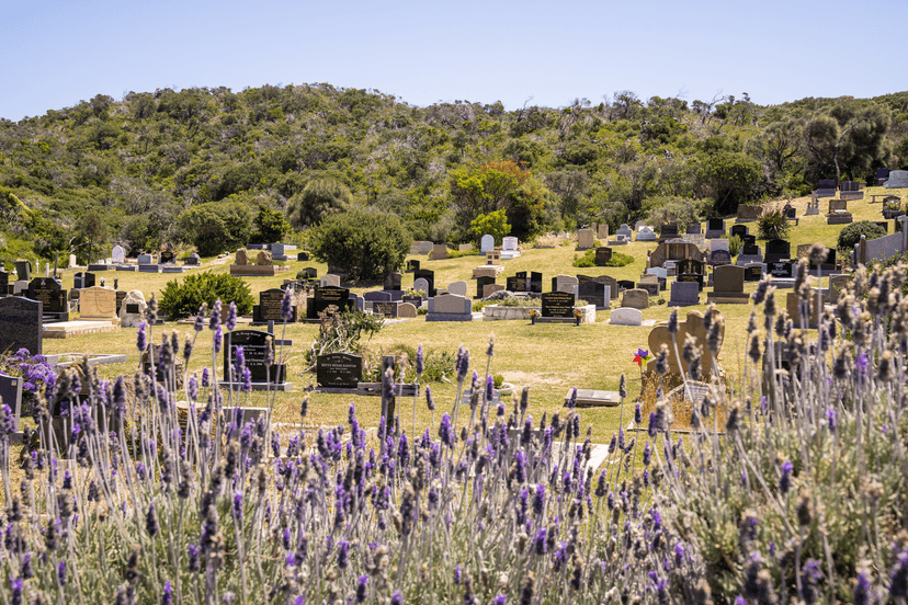 Melbourne cemetery, cremation and funeral support services | SMCT