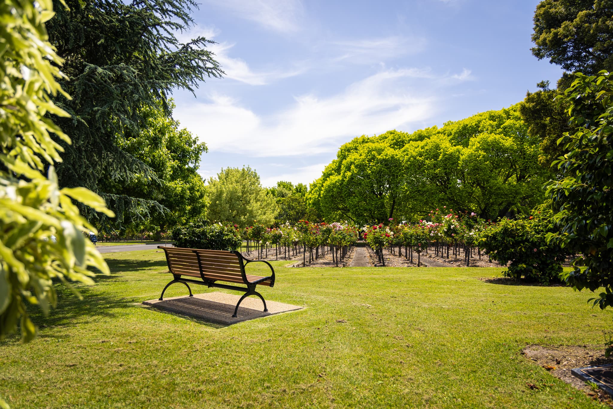 Springvale Botanical Cemetery | SMCT
