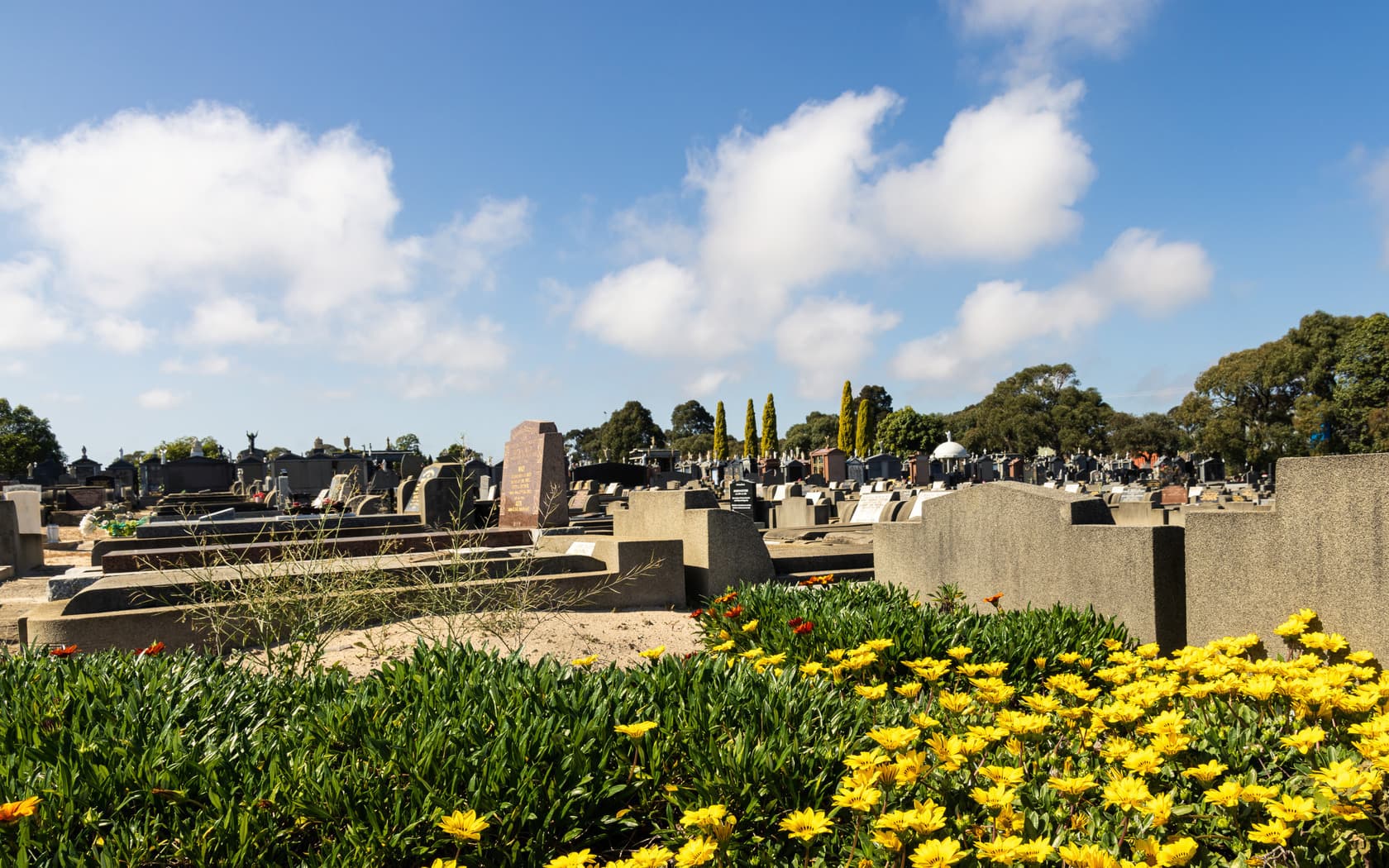 Cheltenham Memorial Park | SMCT