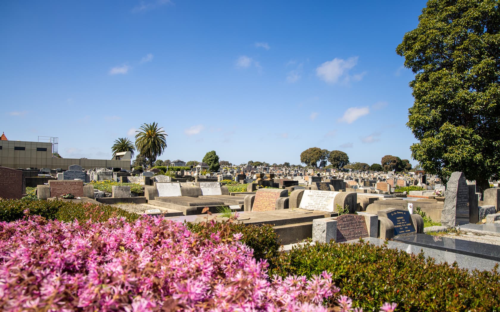 Cheltenham Memorial Park | SMCT