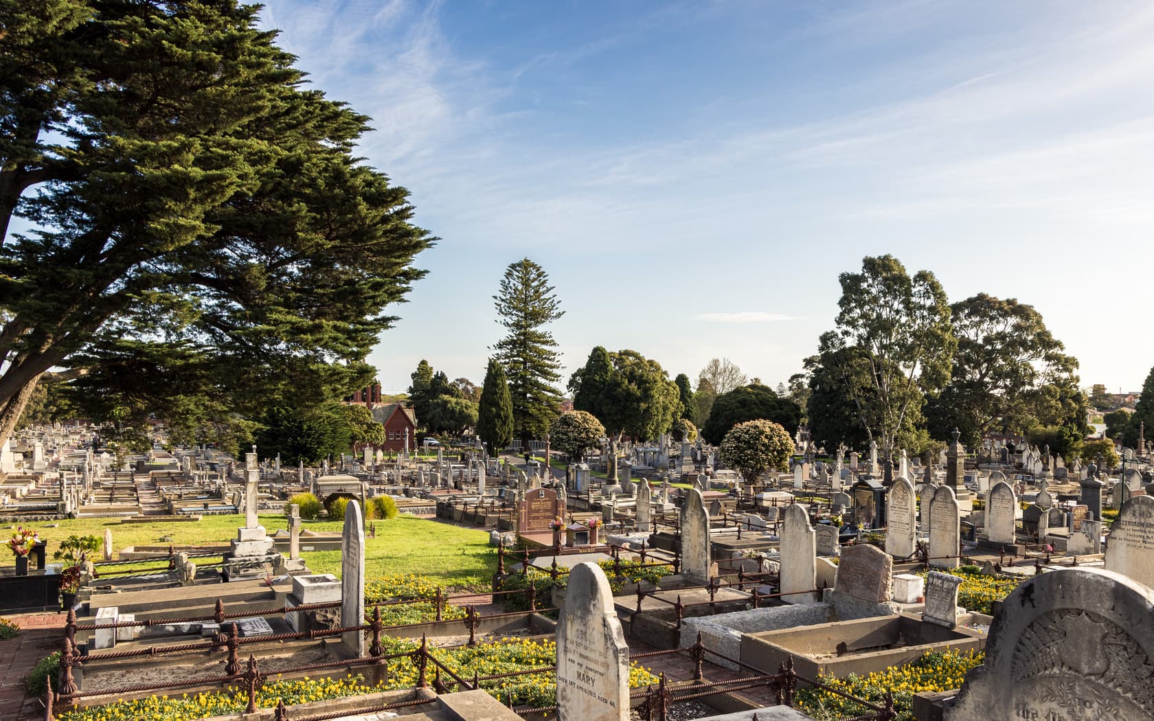 Brighton General Cemetery | SMCT