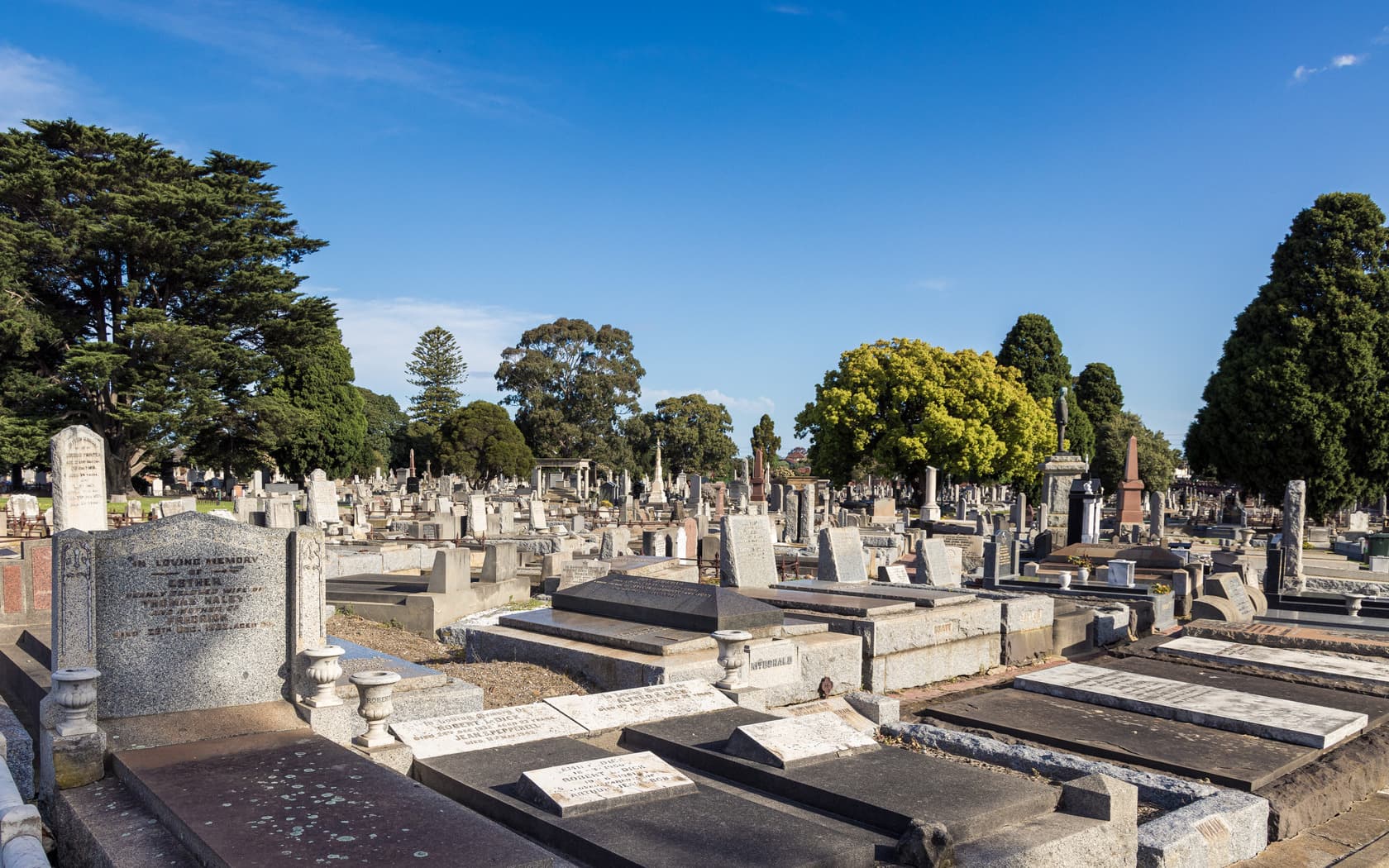 Brighton General Cemetery | SMCT