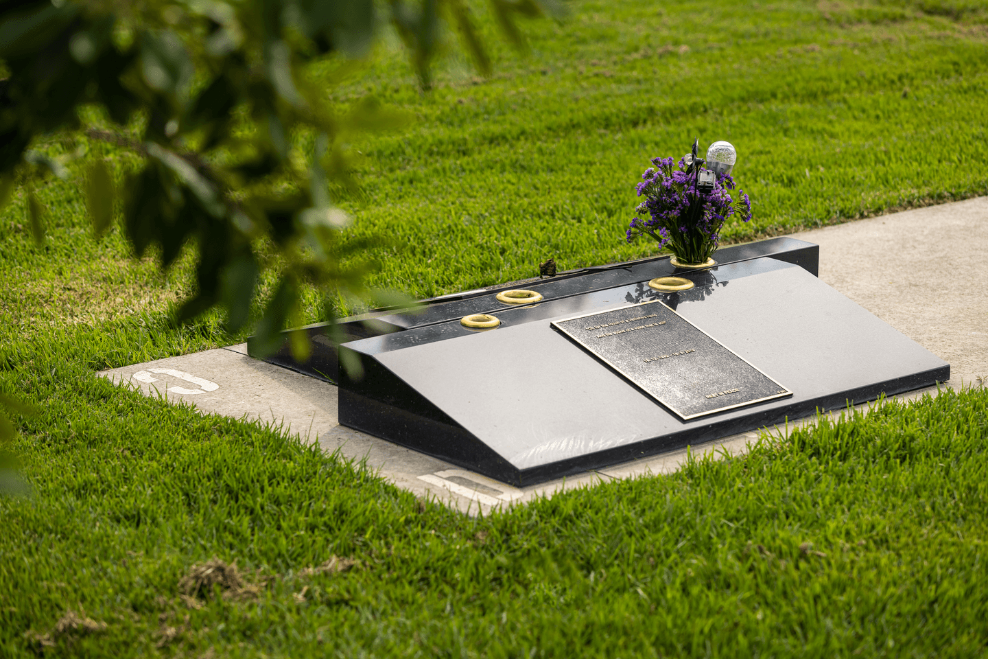 How to organise a plaque | SMCT