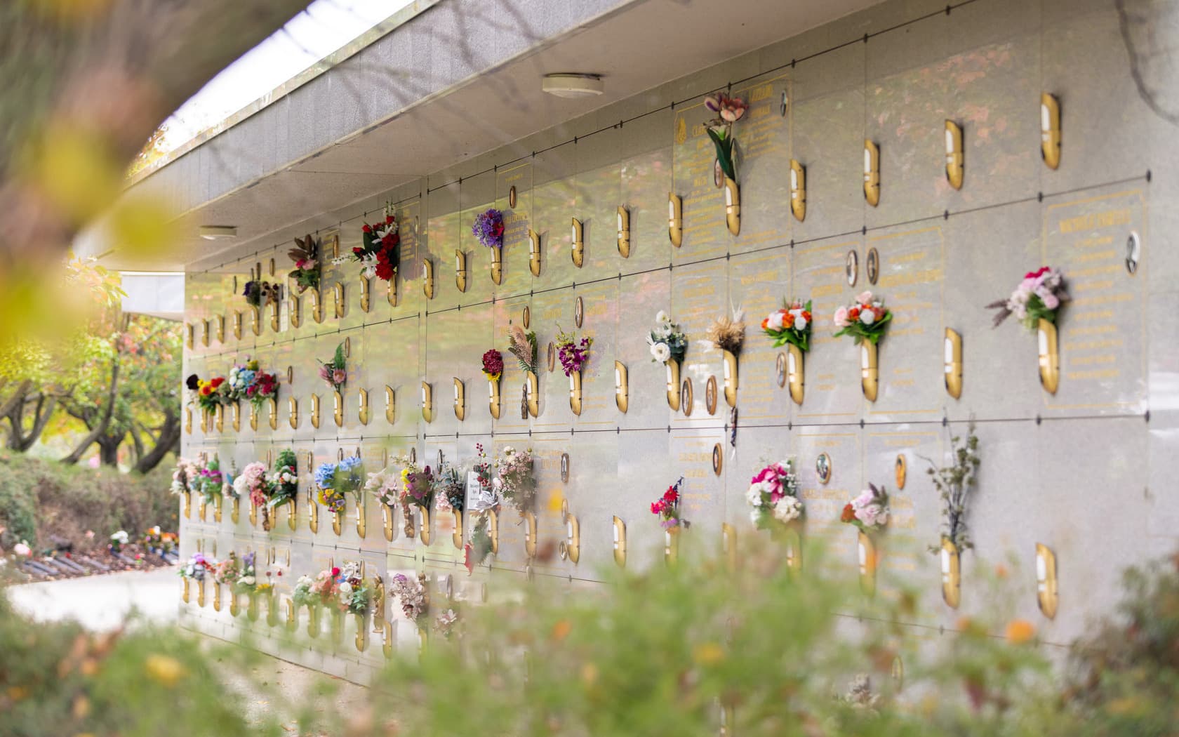 Cremation Options and Services Melbourne | SMCT