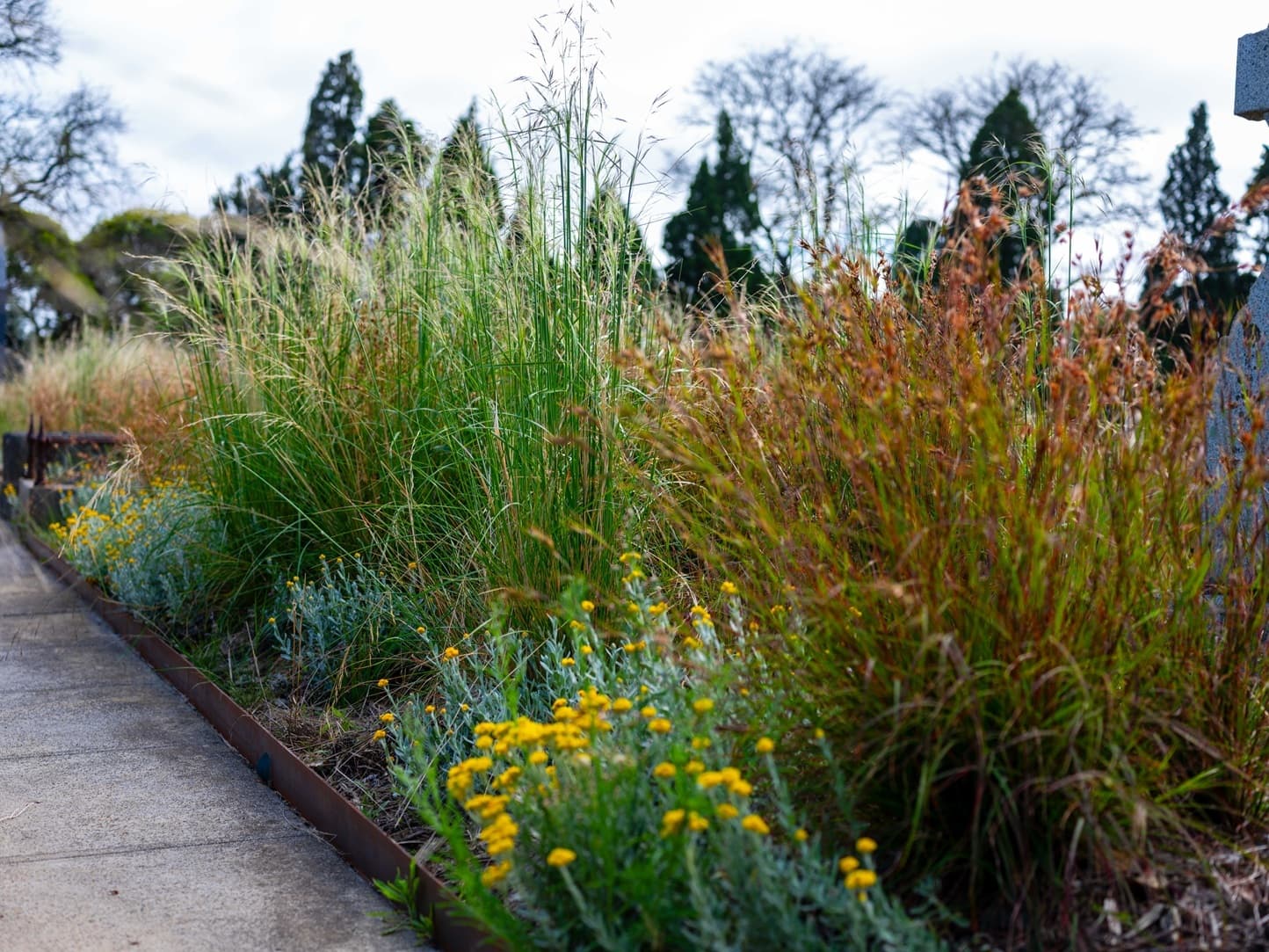 Grasslands Finalist in Banksia Awards | SMCT