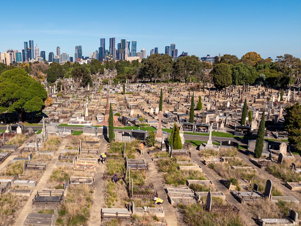 How to Use the Deceased Search Tool | SMCT