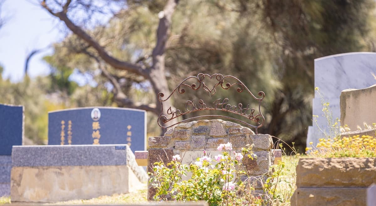 Reconciliation Action Plan | SMCT