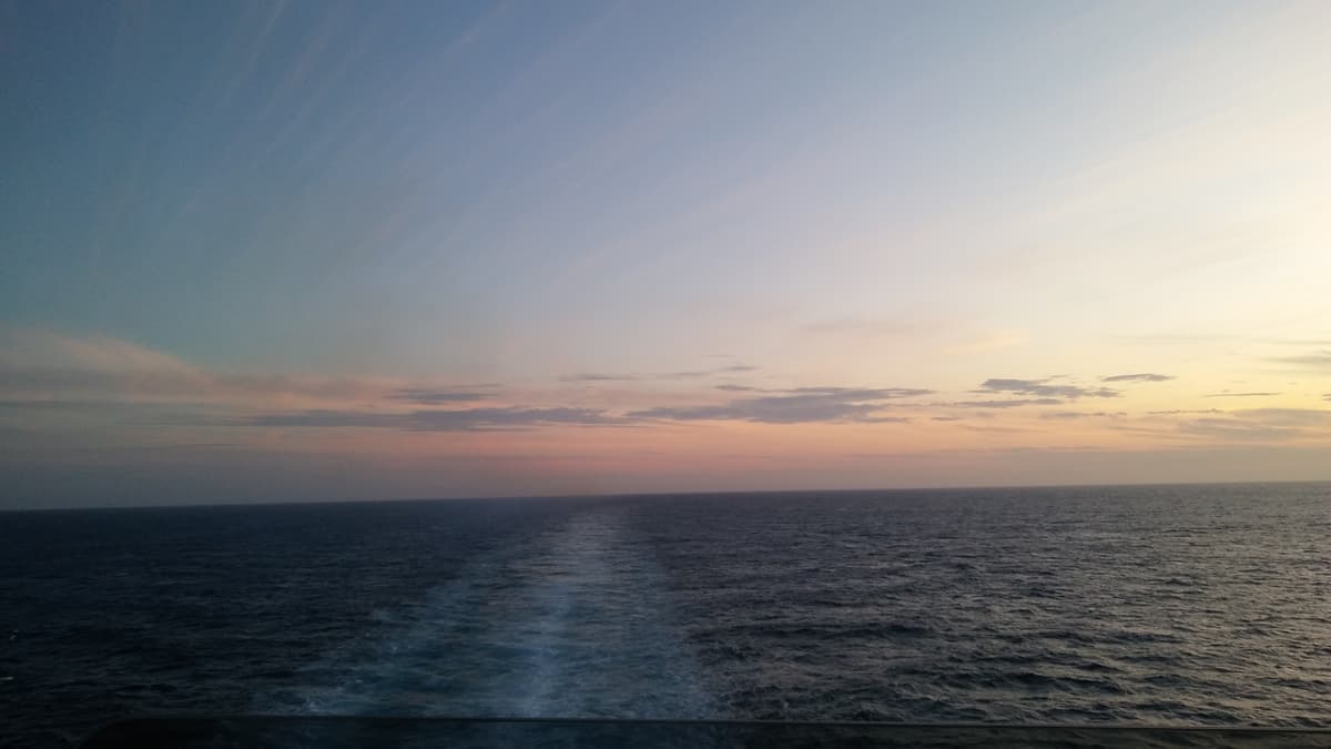 Unique Australian History: The Burke and Wills Expedition | SMCT