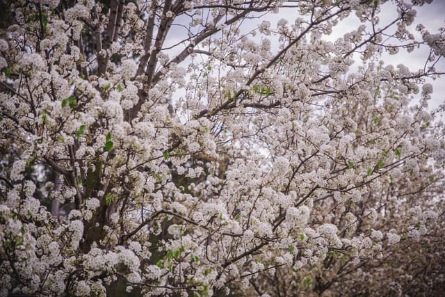 Mother’s Day is for every mother 2019 | SMCT