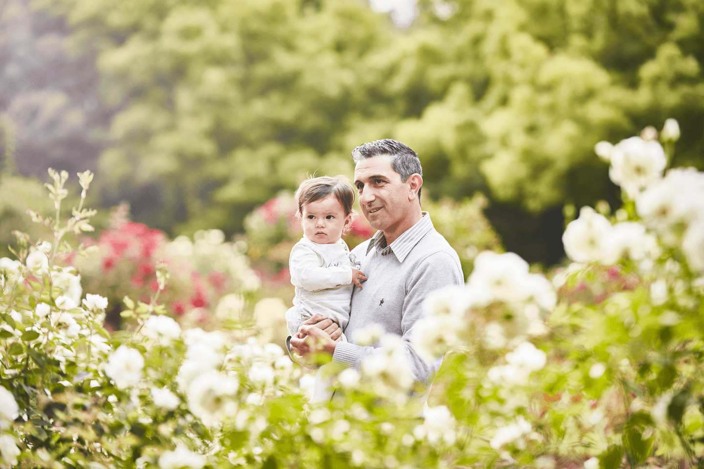 Explore Burial Plots & Memorials at Springvale Botanical… | SMCT