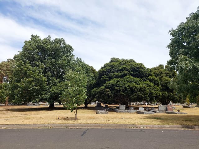 Lawn Grave Burial Options | SMCT